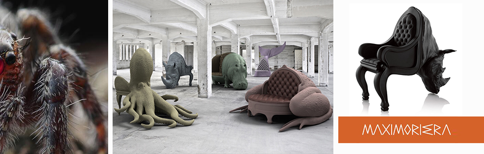 Máximo Riera品牌 Maximo Riera brand